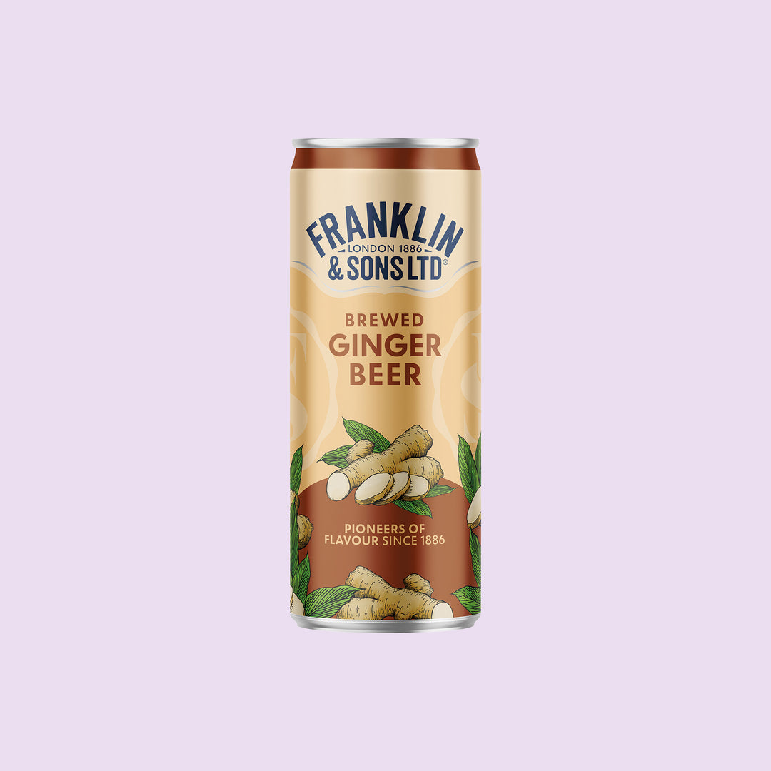 Franklin & Sons Brewed Ginger Beer | Premium Soft Drink – Good Time In